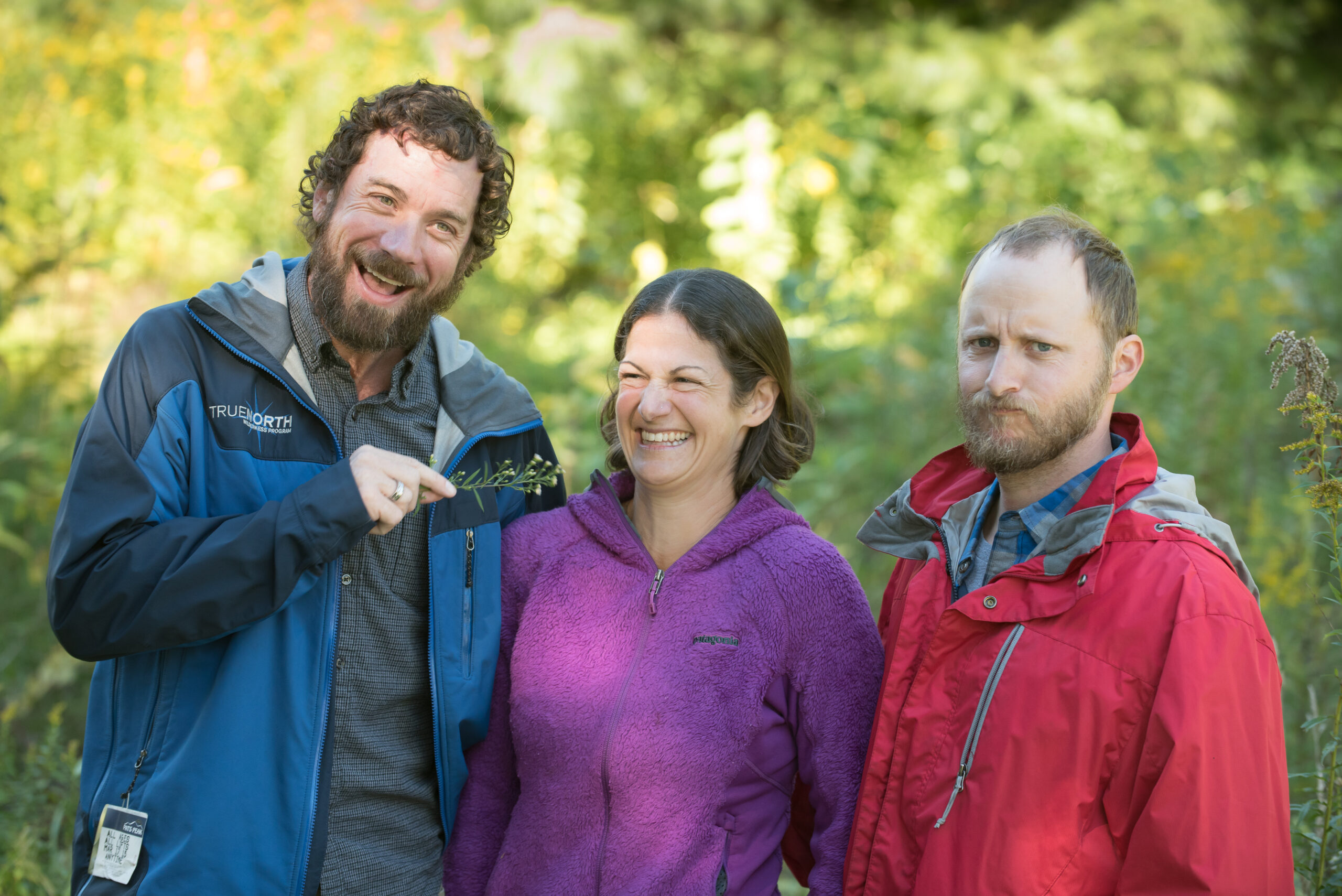 The Journey of Guides to Therapists