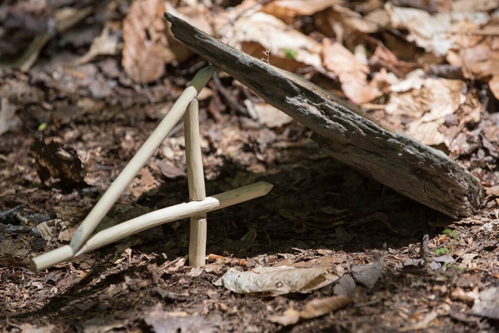 Skills: Buildling Traps